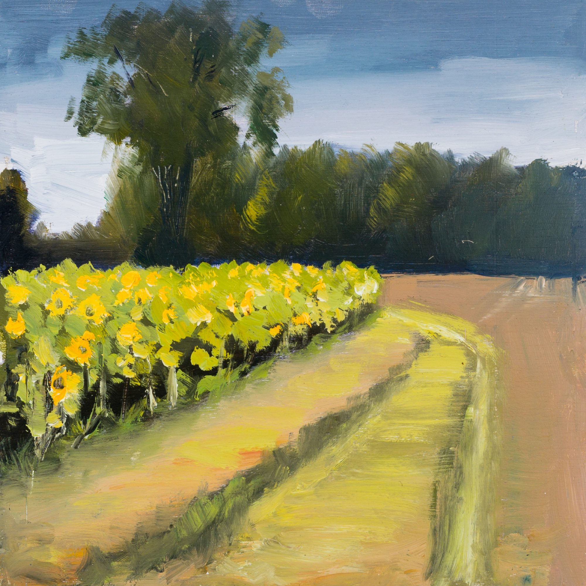 Landscape Oils - Print Collection Set - Paul Kenton