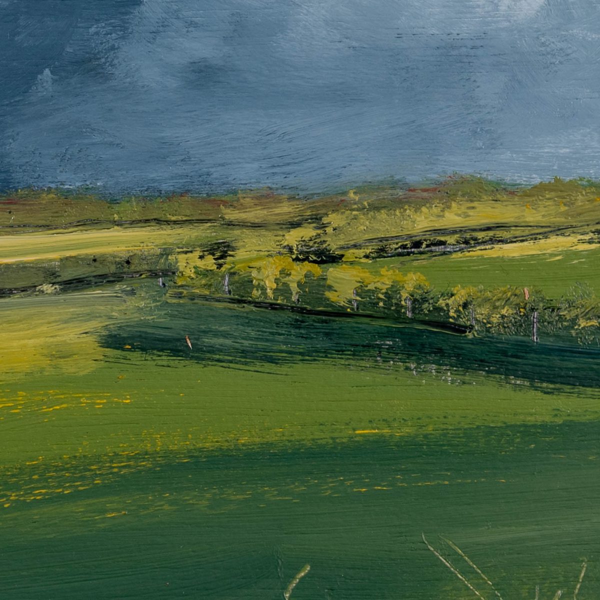 Devon Fields - Original Landscape Painting